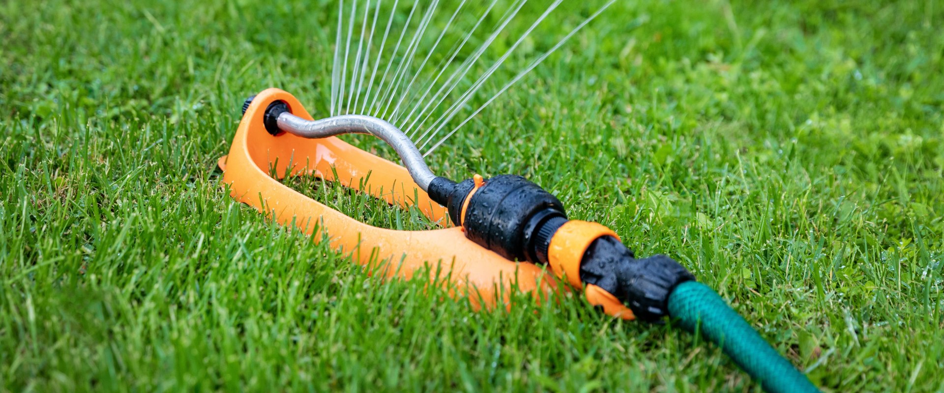 The Best Watering Systems for Turf Installed from a Sod Farm